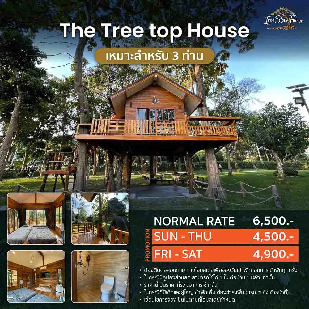Gallery - Tree Stone House